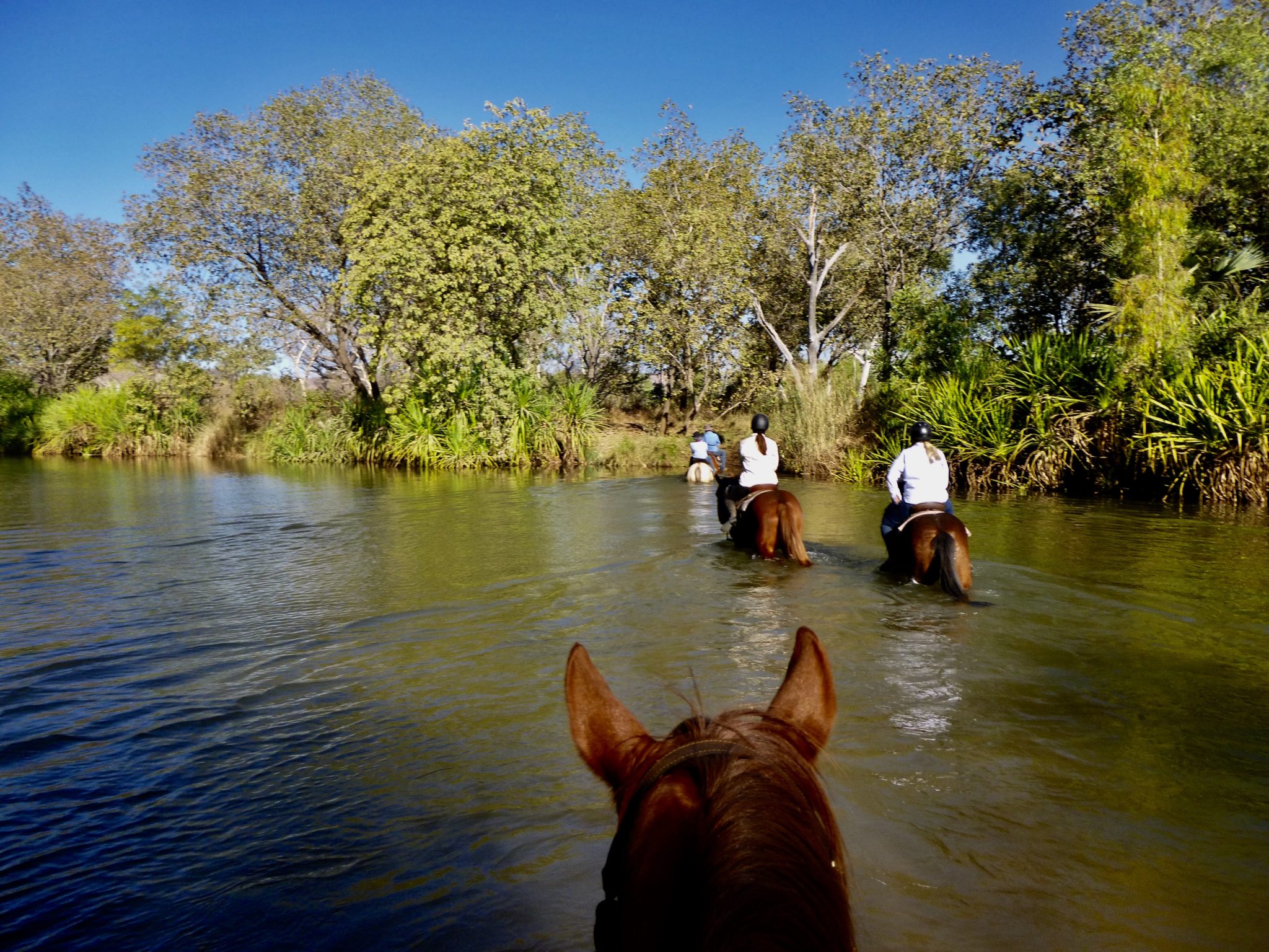 Sue Moses - Horse Riding Holidays and Safaris