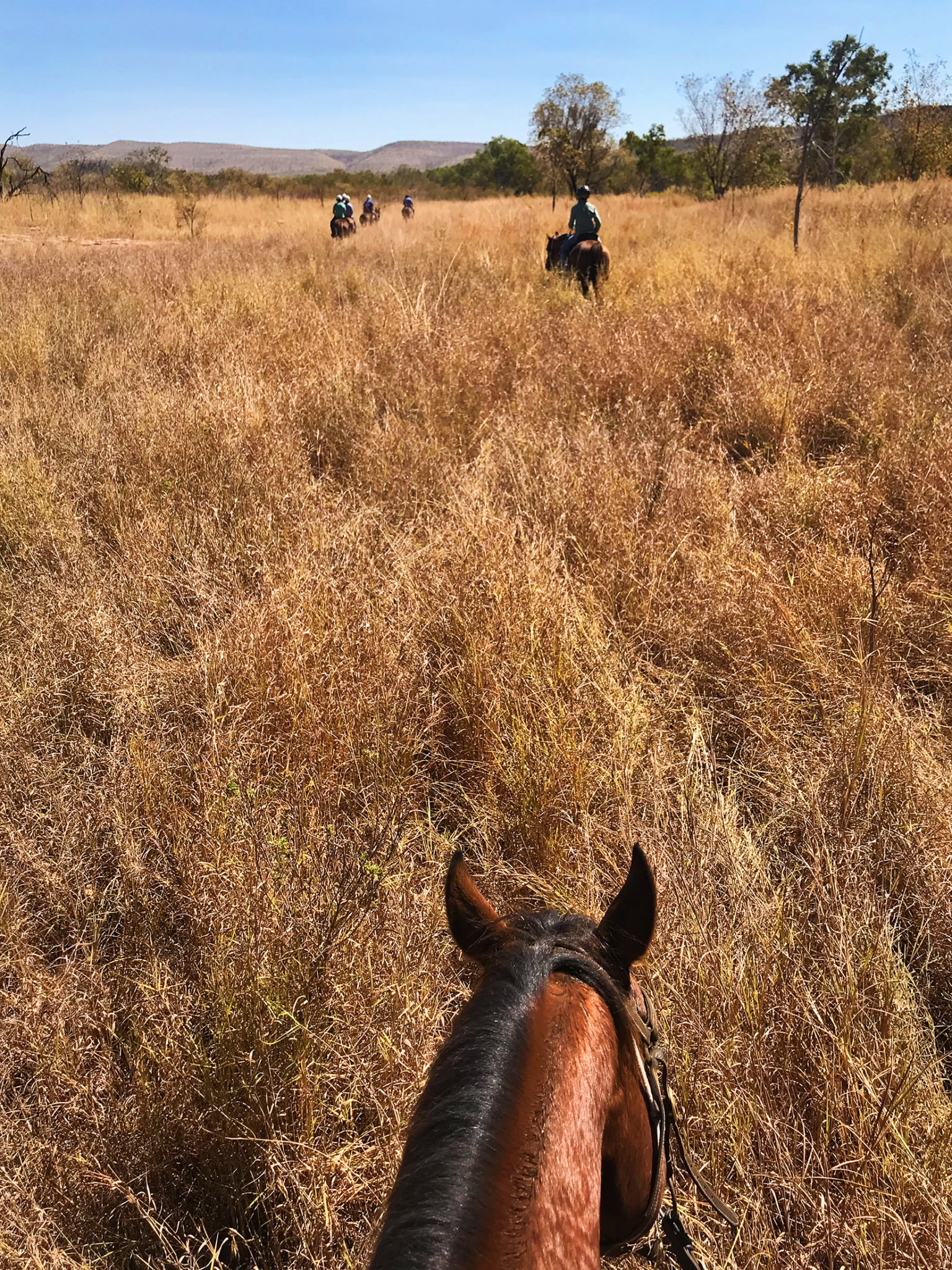 Bridget Schultz - Horse Riding Holidays and Safaris