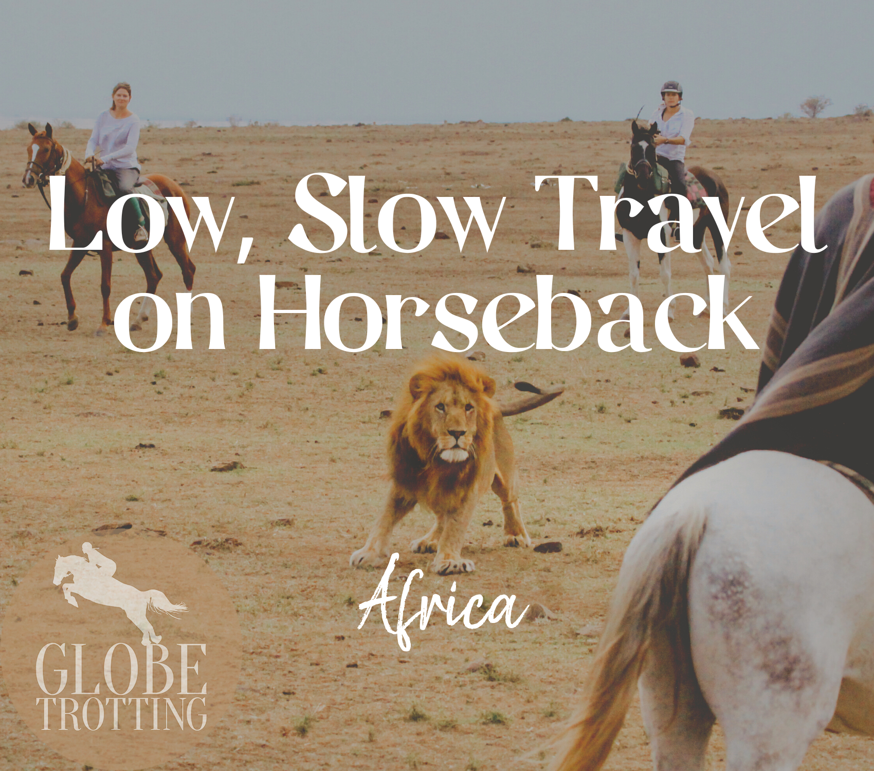 Worldwide Horse Riding Holidays and Safaris - Blog