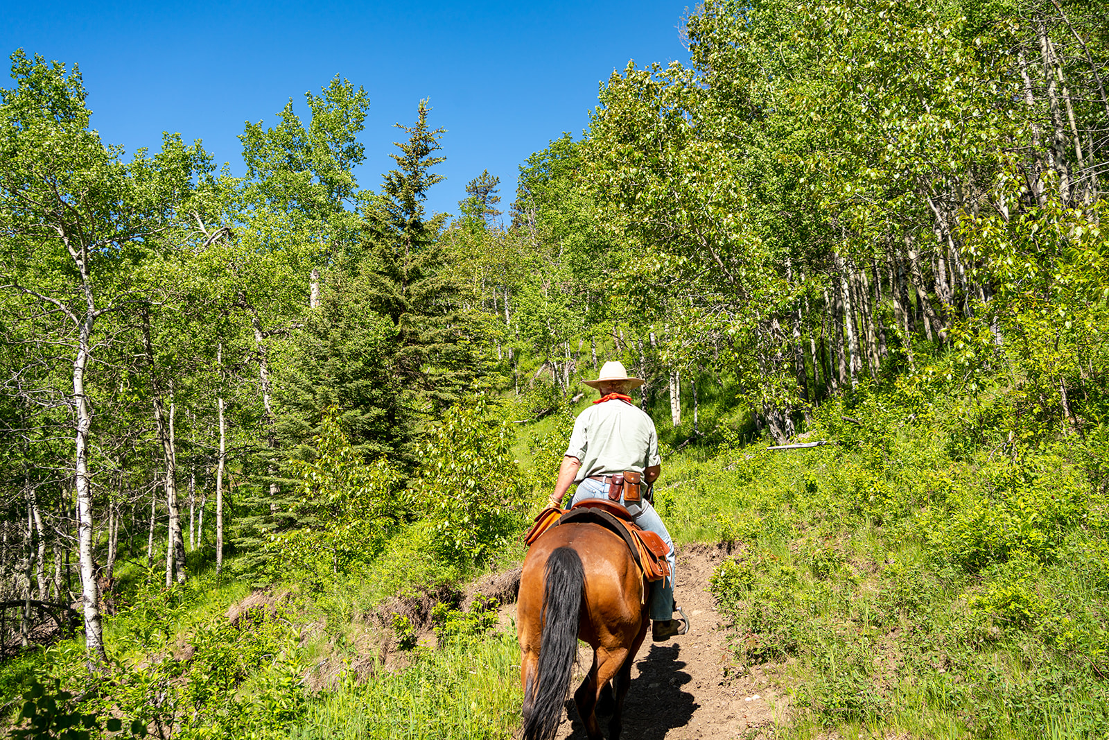 Rocky Mountains Ride, Canada - Horse Riding Holidays and Safaris