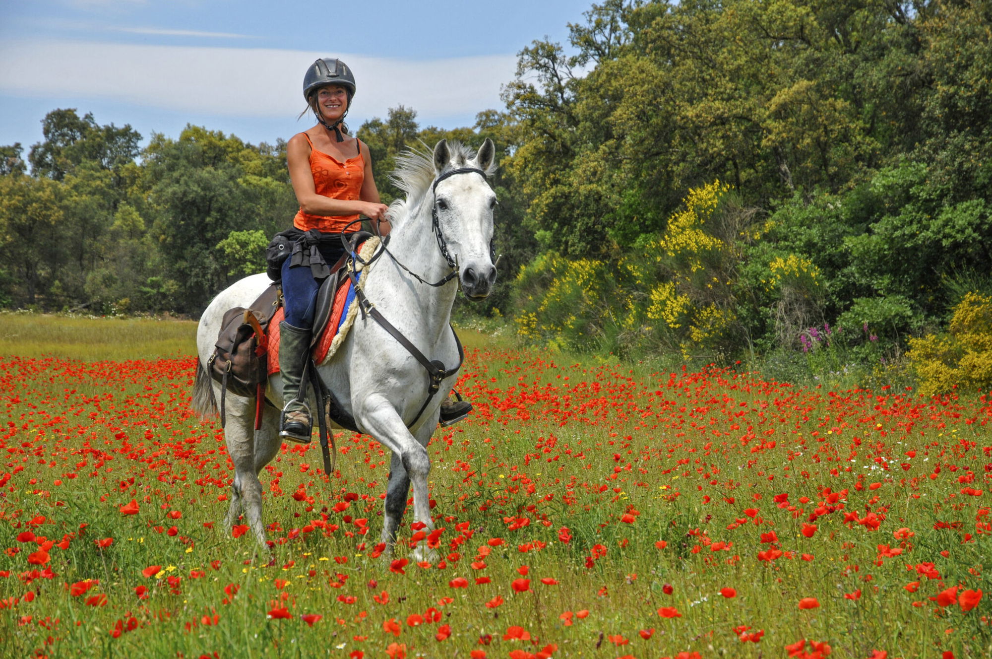 Catalan Coast Trail, Spain - Horse Riding Holidays and Safaris