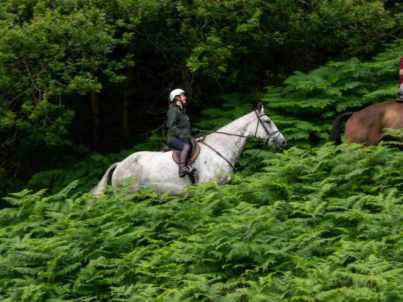 The Cotswolds Ride, England - Horse Riding Holidays and Safaris