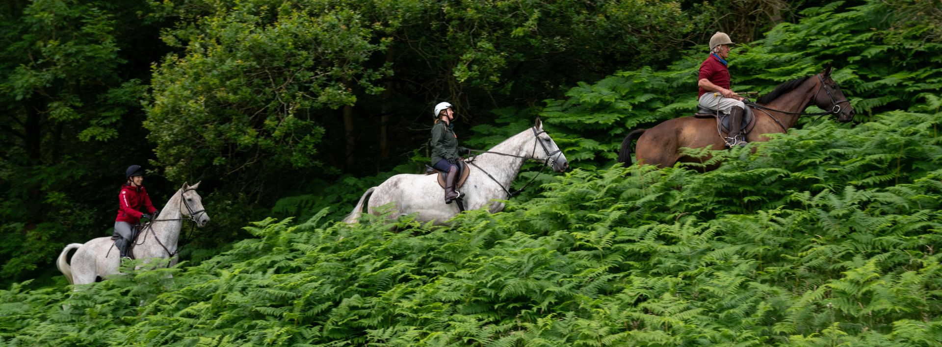 The Cotswolds Ride, England - Horse Riding Holidays and Safaris