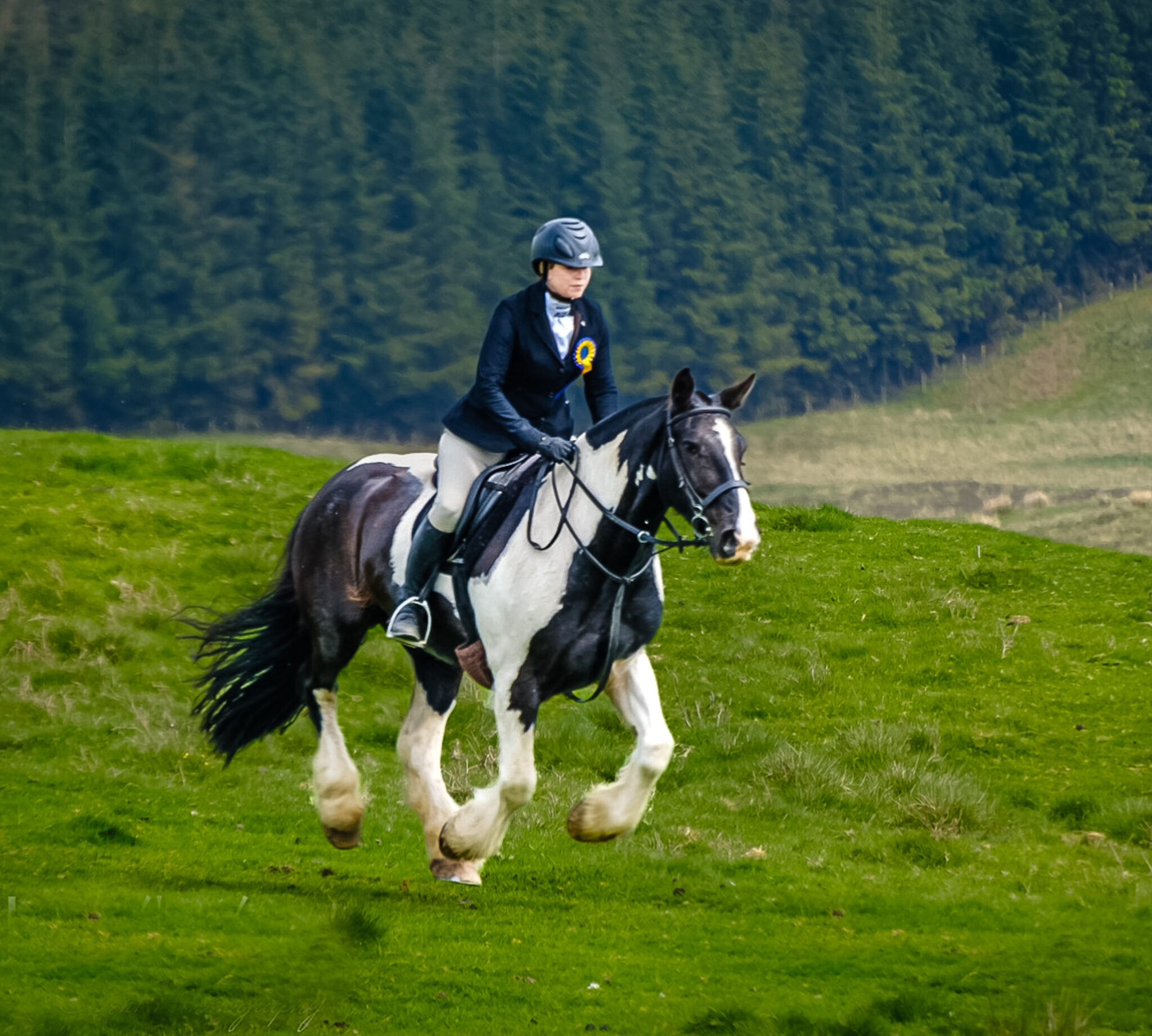 Scottish Borders Ride | Horse Riding Holidays in Scotland | Globetrotting