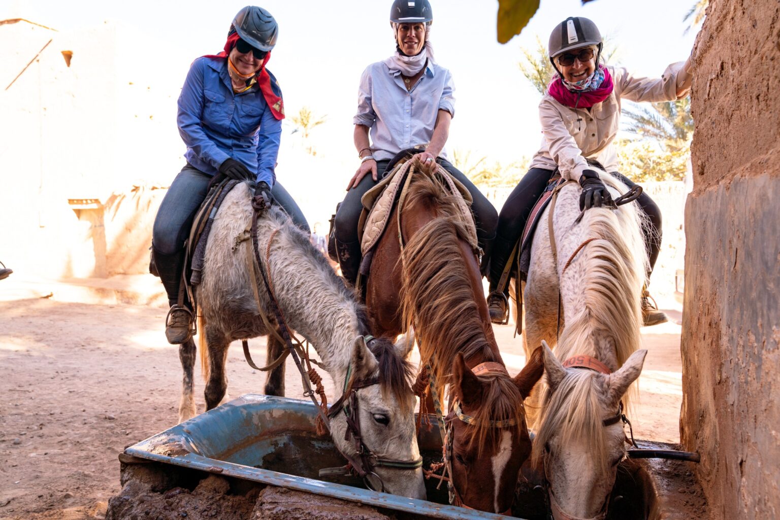 Rides Archive - Horse Riding Holidays and Safaris