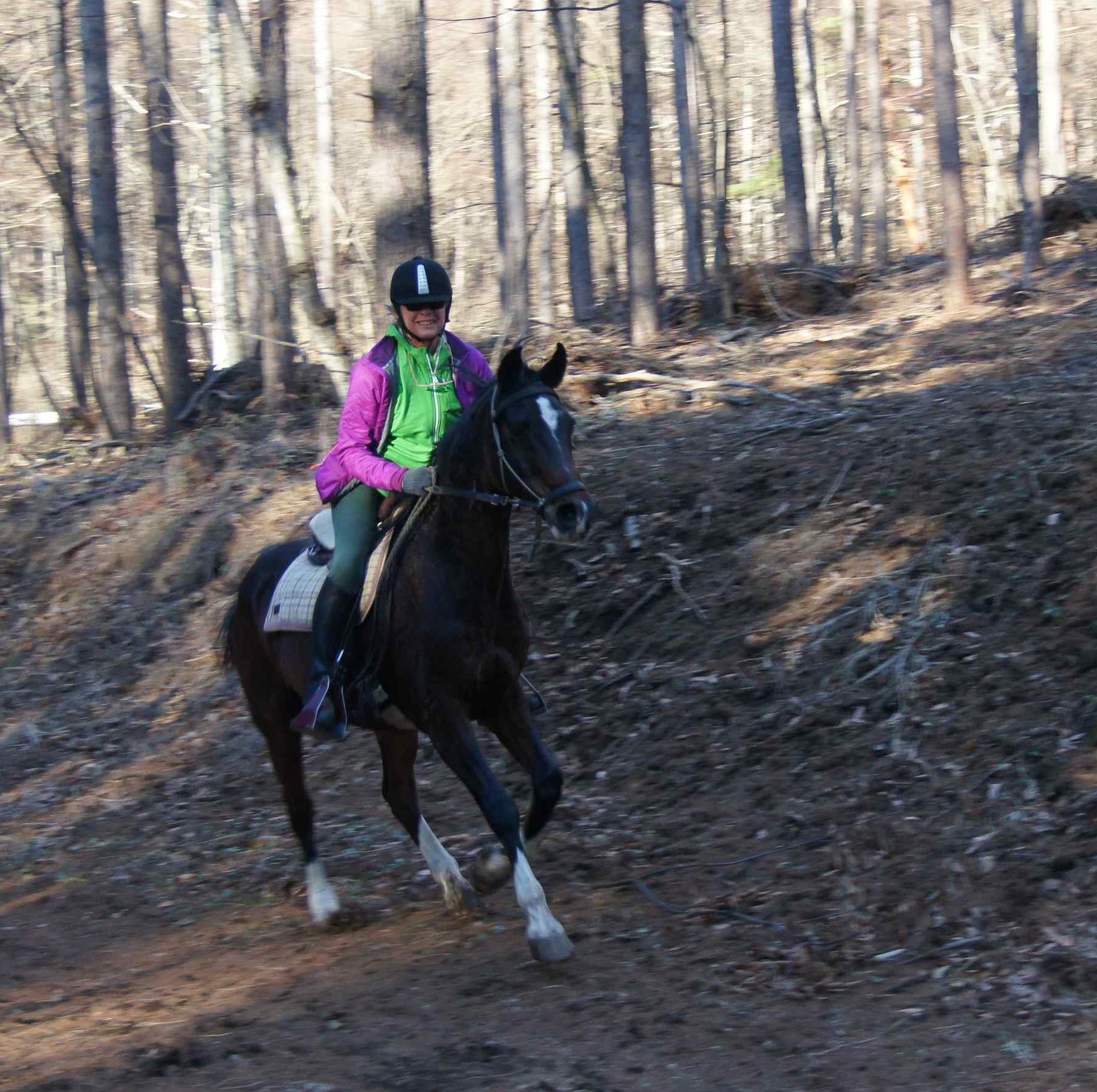 Meet a Globetrotter: Debbie McKenzie - Horse Riding Holidays and Safaris