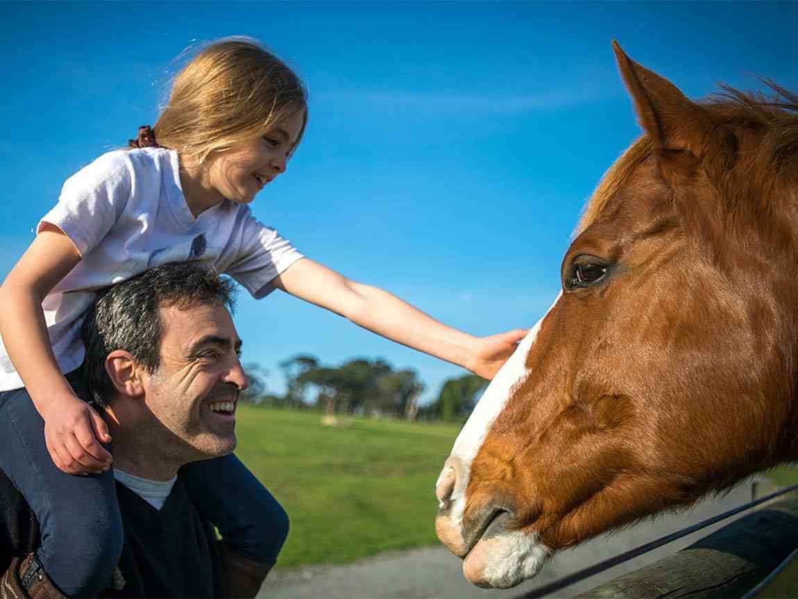 A Trip to Living Legends - Horse Riding Holidays and Safaris